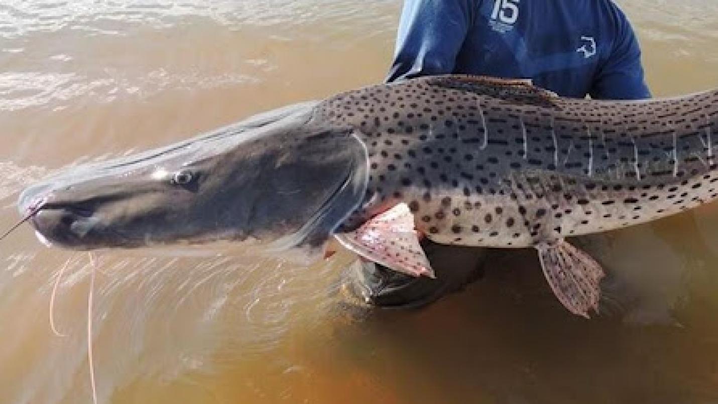 FIESTA NACIONAL DEL SURUBÍ: "ESPERAMOS QUE EL RÍO NOS DÉ LA MANO"